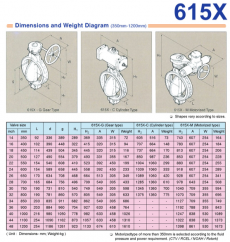 OKM 612X & 615X Butterfly Valves - Wintech Engineering Supply